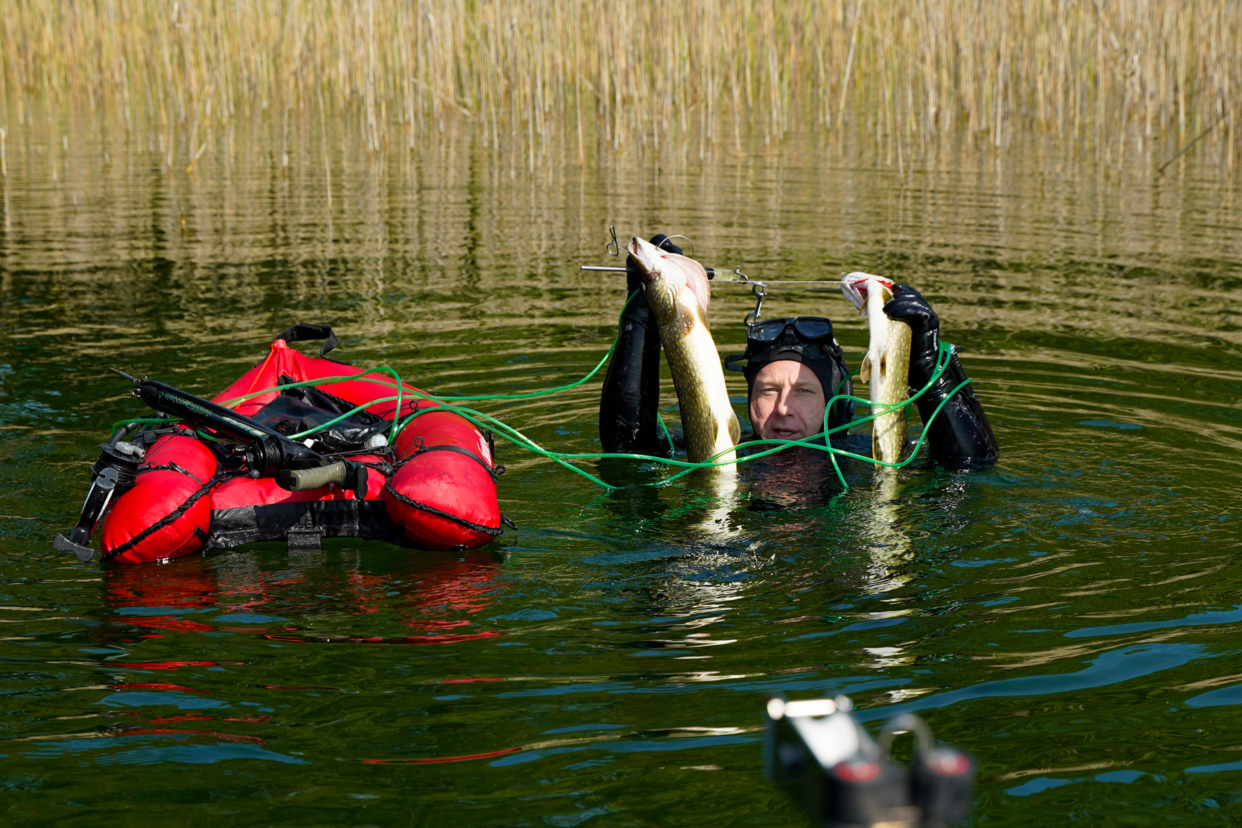 VIII Polish Team Spearfishing Championship 2023 - Scorpena.com